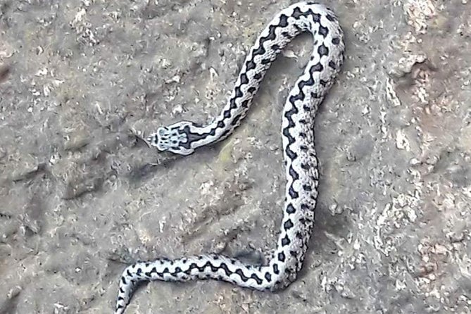 Enchanted City Excursion + Cuervo River Birth - Additional Information