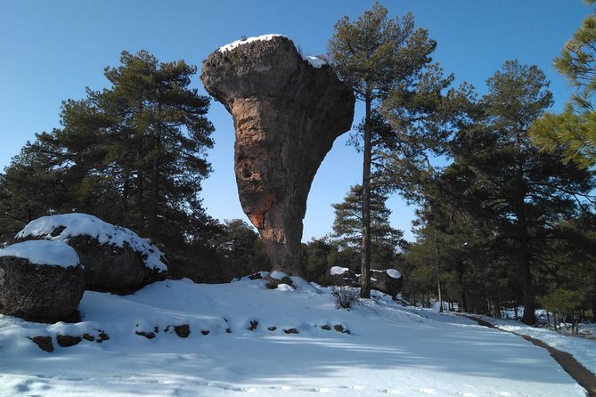 Enchanted city express - Key Points