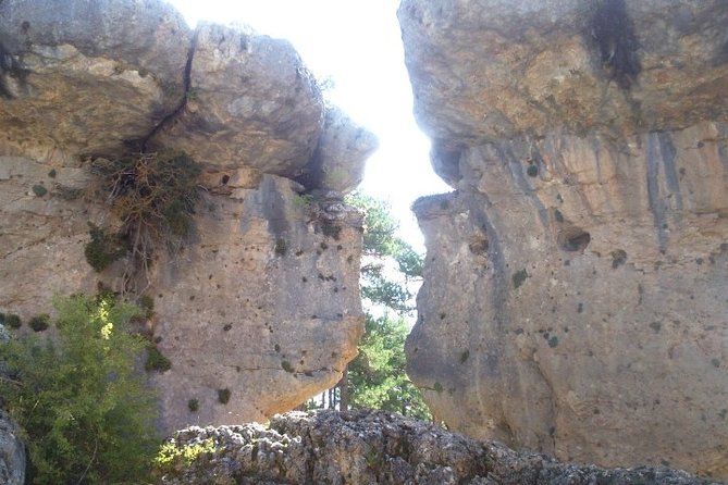 Enchanted city express - What to Expect from the Guided Experience