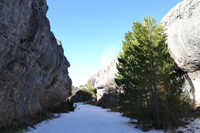 Enchanted city express - Pricing and Overall Value