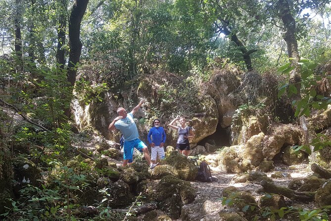 Enchanted Forest Hike and Wine Tasting Private Tour - FAQ: Your Practical Questions Answered