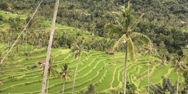 Enchanting Bali adv : Sekumpul and Fiji Waterfall Expedition - The Practicalities: What to Expect