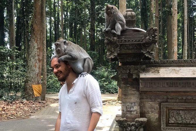 Enchanting Bali Tour with the Best Driver | All Included - What the Reviews Say