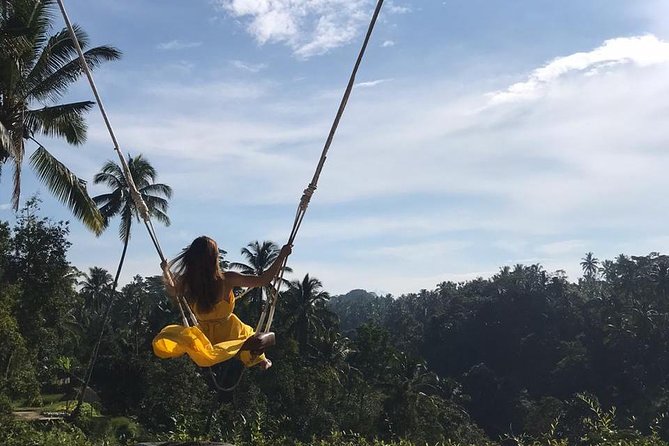 Enchanting Bali Tour with the Best Driver | All Included - Transportation and Comfort