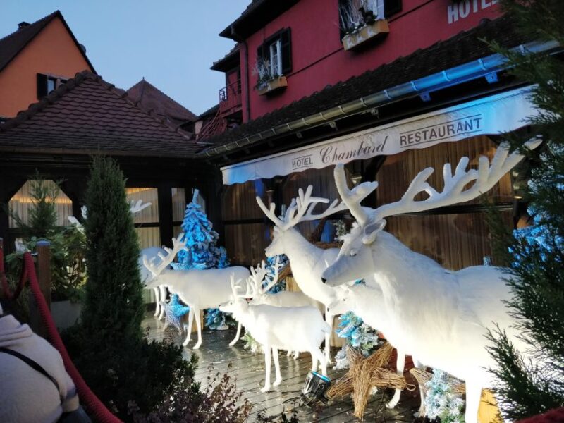 Enchanting Christmas Experience From Colmar - A Detailed Look at What the Tour Offers