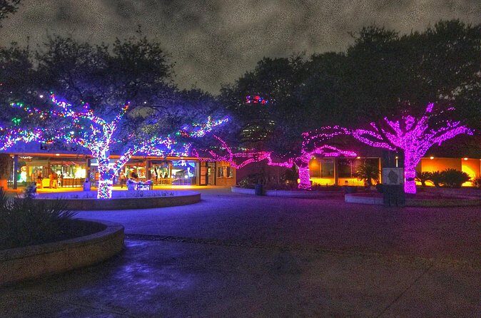 Enchanting Christmas Private Tour in Magical Houston - What Travelers Say