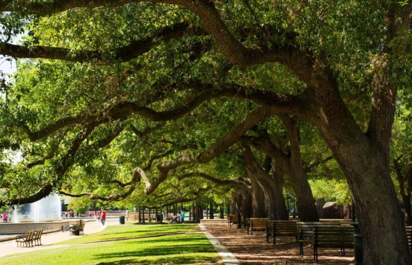 Enchanting Houston Private Tour: A Romantic Urban Adventure - Key Points