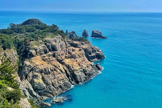 Enchanting Oedo Island Day Tour from Busan with Windy Hill - Who Will Love This Tour?