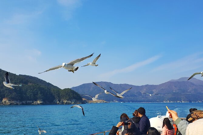Enchanting Oedo Island Day Tour from Busan with Windy Hill - The Sum Up