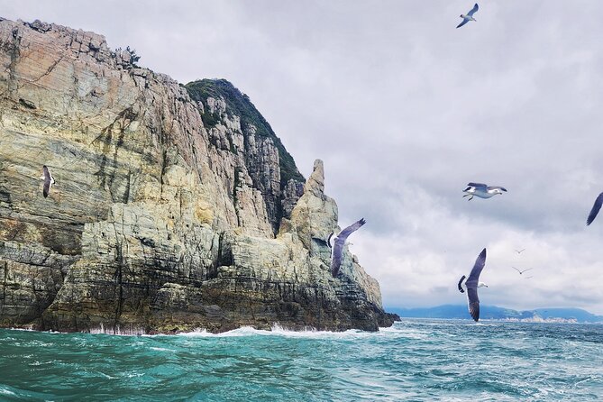 Enchanting Oedo Island Day Tour from Busan with Windy Hill - FAQ