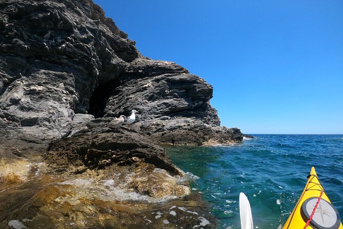 Enchanting Semi Private Kayaking Tours in Milos - Practical Tips for Your Trip
