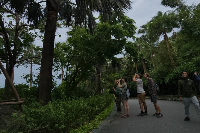 Endangered Monkeys Watching - Red Shanked Douc Langurs - Authentic Experiences and Genuine Praise from Travelers