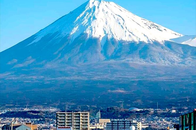 English Guided Mt. Fuji and Lake Kawaguchi Group Tour - Inclusions and Pickup Information