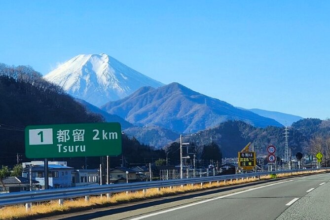 English Guided Mt. Fuji and Lake Kawaguchi Group Tour - Tour Reviews and Ratings