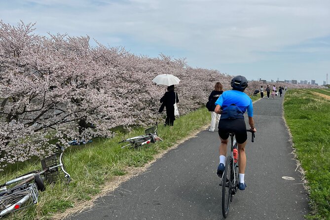English/Italian Guided Cycling Tour in Tokyo(With a Rental Bike) - Reviews and Ratings