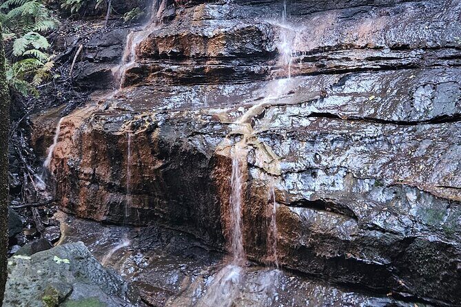 English or German Luxury Private Blue Mountains Tour from Sydney - Practical Considerations