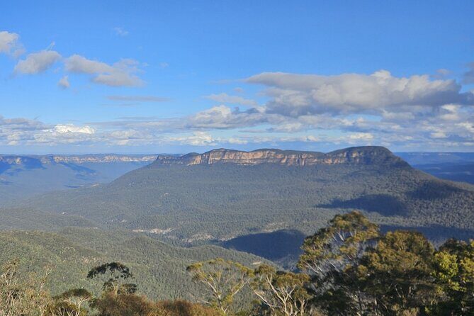 English or German Luxury Private Blue Mountains Tour from Sydney - FAQ