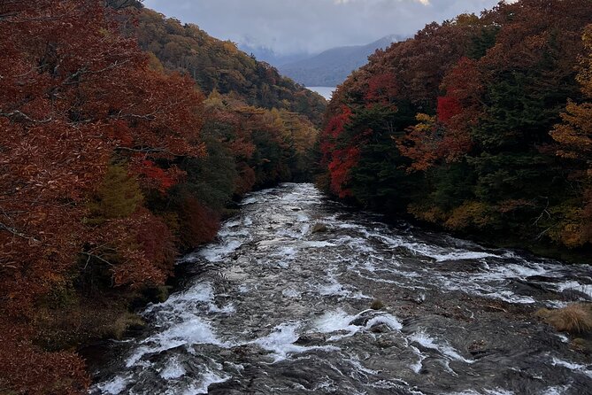 English-Speaking Guided Day Tour of Nikko With a Private Vehicle - Meeting and Pickup