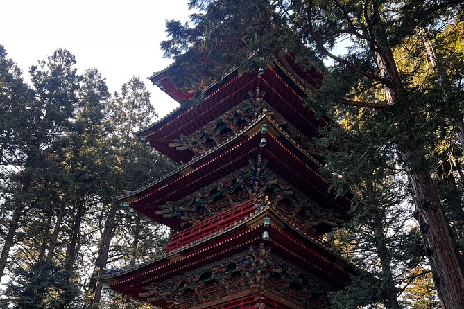 English-Speaking Guided Day Tour of Nikko With a Private Vehicle - Customer Reviews