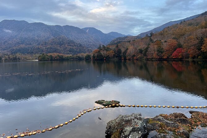 English-Speaking Guided Day Tour of Nikko With a Private Vehicle - Highlights of the Tour