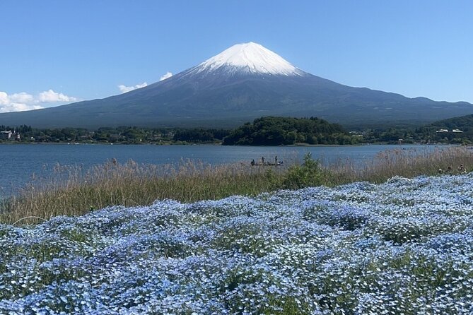 English-speaking Guided Tour:Mount Fuji & Hakone, Private Vehicle - Accessibility and Participation