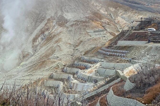 English-speaking Guided Tour:Mount Fuji & Hakone, Private Vehicle - Pricing and Booking