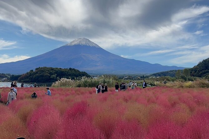 English-speaking Guided Tour:Mount Fuji & Hakone, Private Vehicle - Highlights and Attractions