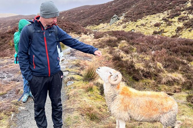 English Speaking Homestay Exploring Edinburgh and National Parks - Improve Your English in a Welcoming Environment