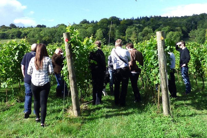 English Wine and Cheese Tour From London - Pricing and Reservations