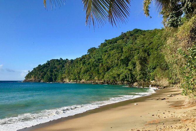 Englishman's Bay Day Trip with Lunch - What to Expect from the Itinerary