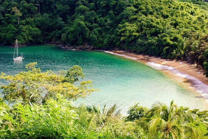 Englishman's Bay Day Trip with Lunch - The Sum Up: Who Will Love This Experience?