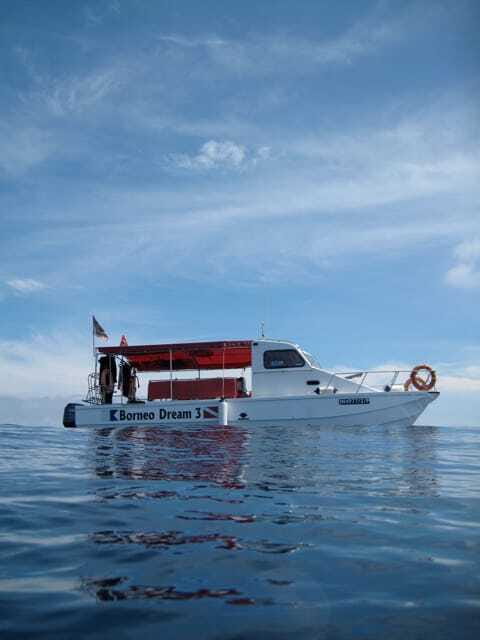 Enjoy 3 Fun Dives in Kota Kinabalu | Certified Divers - Authentic Experiences and Candid Reviews