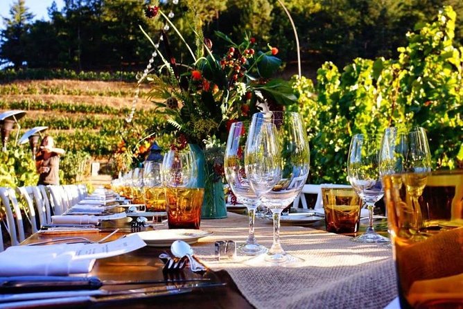 Enjoy a meal with wine tasting in the vineyard of Podere Casanova - Key Points