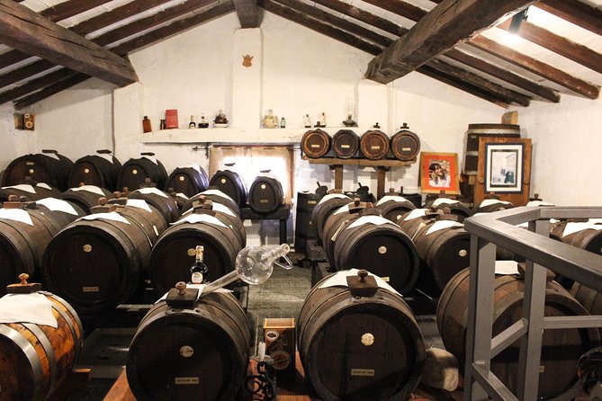 Enjoy a Private, Owner-Led Balsamic Vinegar Tour and Tasting in Vignola, Modena - Elevating Your Culinary Journey: Balsamic Vinegar Tour Highlights