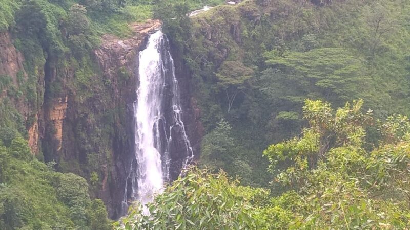 Enjoy a rail adventure from Kandy to Nuwara Eliya , Day Tour - The Sum Up