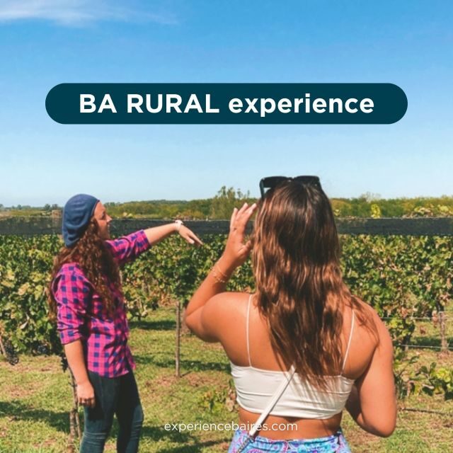 Enjoy a Rural Experience in a Vineyard near Buenos Aires - Key Points