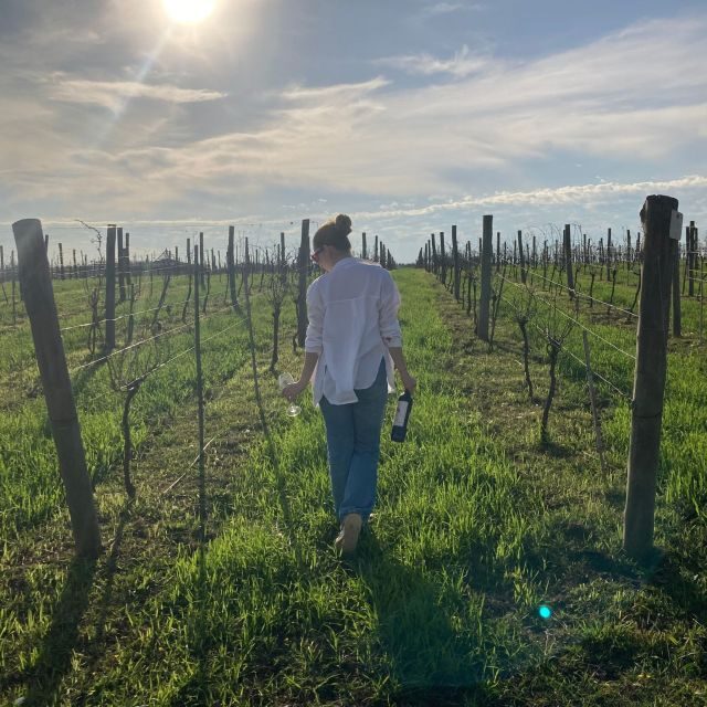 Enjoy a Rural Experience in a Vineyard near Buenos Aires - The Gourmet Lunch: A Culinary Highlight