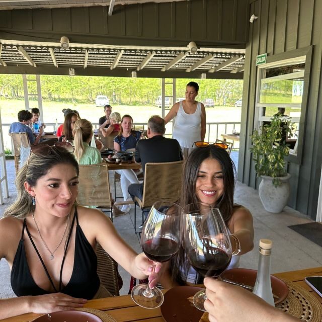 Enjoy a Rural Experience in a Vineyard near Buenos Aires - Final Verdict