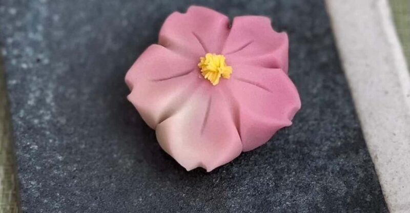 Enjoy Japan With Five Senses, Wagashi & Tea Ceremony Tokyo - The Art of Tea Ceremony
