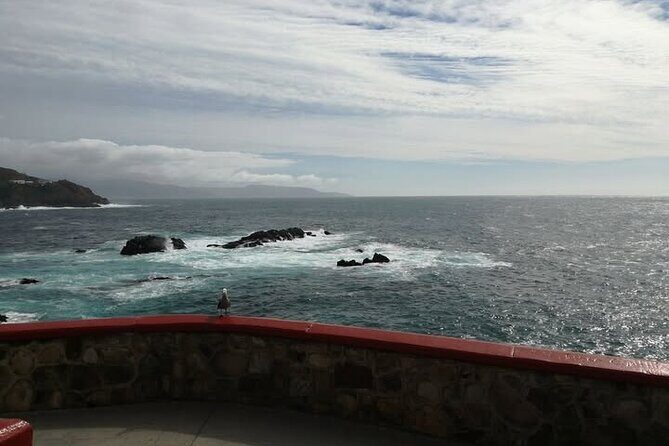 Enjoy La Bufadora and eat the best tacos! - Who Should Take This Tour?
