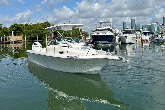 Enjoy Miami aboard our Proline 24ft - What Makes This Tour Stand Out