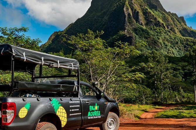 Enjoy Moorea Day Tour - A Practical Look at the Experience