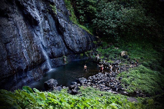 Enjoy Moorea Private day tour - In-Depth Look at the Moorea Private Tour