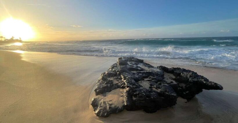 Enjoy Private Professional Photo Tour in Honolulu Island - Who Will Love This Tour?