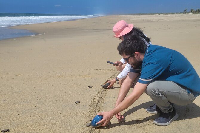 Enjoy Puerto Escondido with Beach and Nature from Oaxaca - Participating in Turtle Releases — An Unforgettable Experience