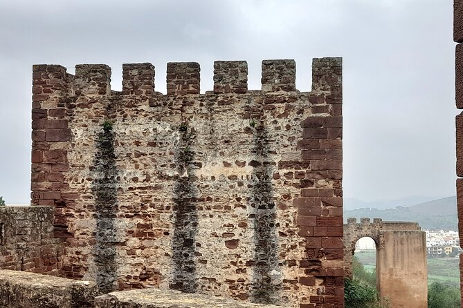 Enjoy The Private Tour To Silves Castle and Monchique Mountain - Transportation and Overall Value