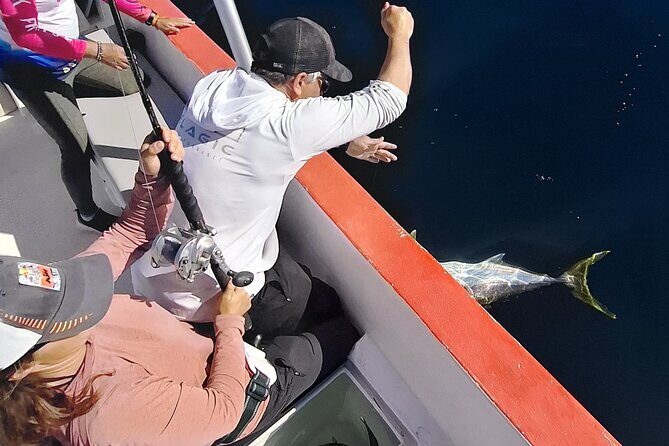 Enjoy the sport fishing paradise in Loreto, BCS - The Sum Up