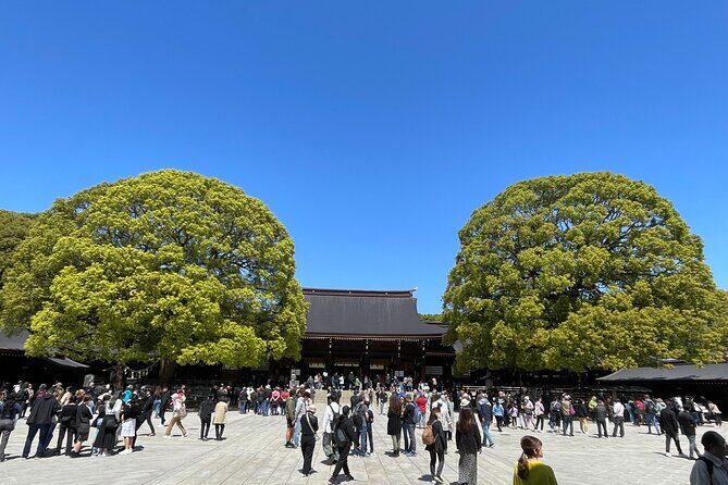 "Enjoy Tokyo Tour" Harajuku Meiji-jingu & Delicious Sake Tasting - In-Depth Look at the Itinerary
