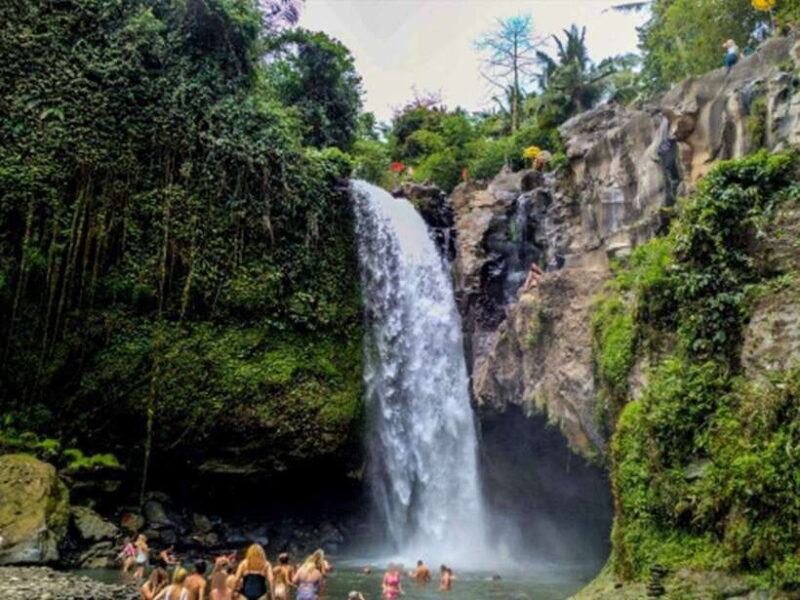 Enjoy Ubud : Tegallalang, Tegenungan Waterfall/ Private Tour - The Value of This Tour