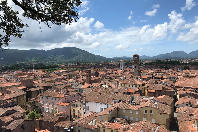 Enjoyable Music Tour of the Historical City of Lucca - Addressing Missed Tour Concerns